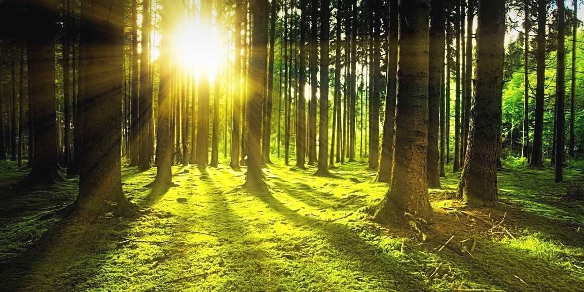 Oslava 20 let Cechu malířů, lakýrníků a tapetářů v České republice ...